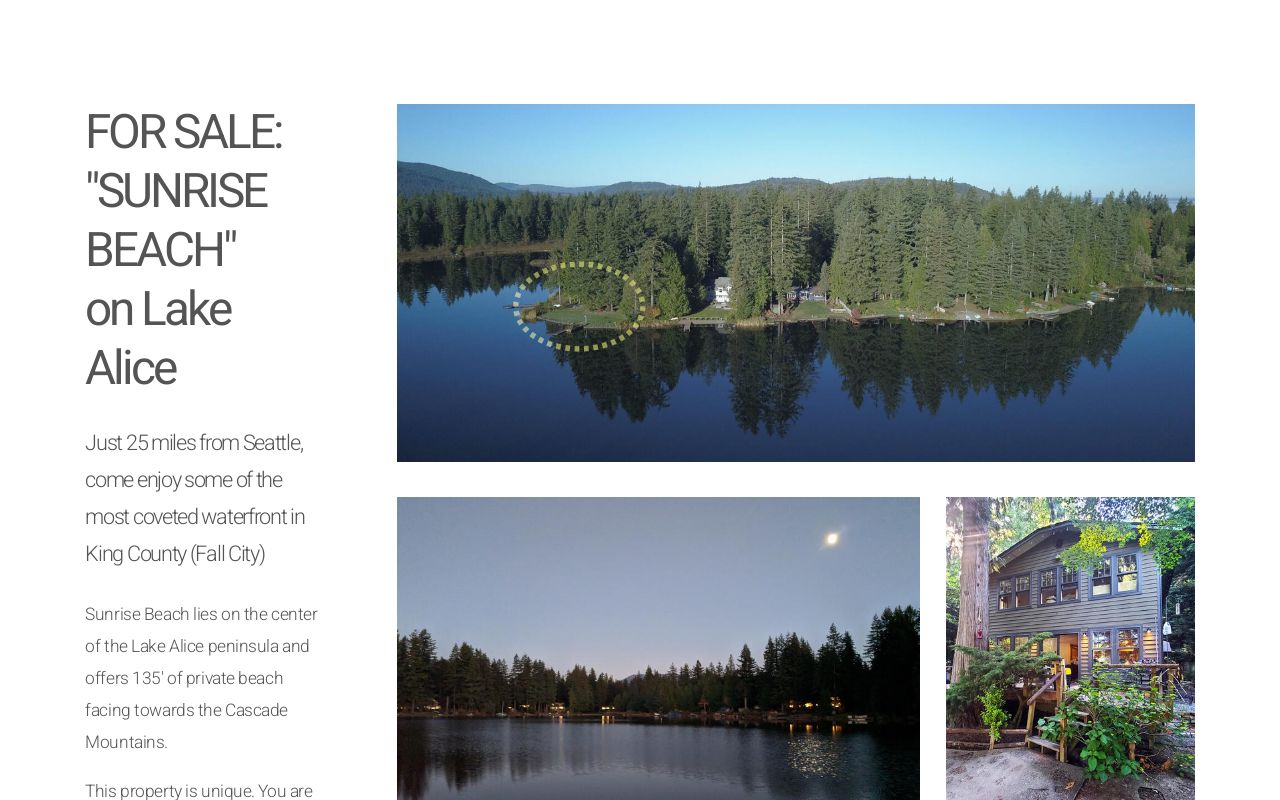 Waterfront Lake Alice Home